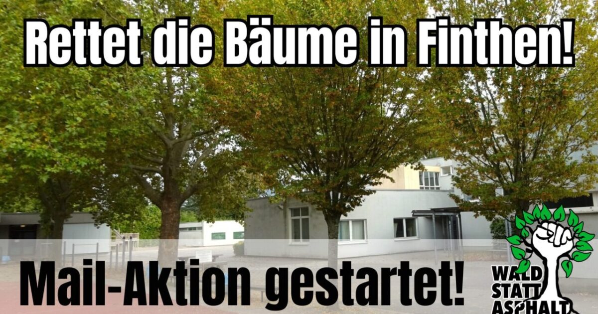Rettet die Bäume in Mainz-Finthen! – Wald statt Asphalt 🌳