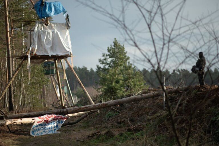 Heibo lebt! Ein Jahr nach der Räumung – Wald statt Asphalt 🌳