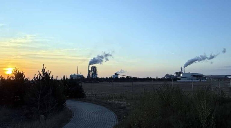 Baruth sagt Nein: Protest gegen Red-Bull-Ausbau – Wald statt Asphalt 🌳